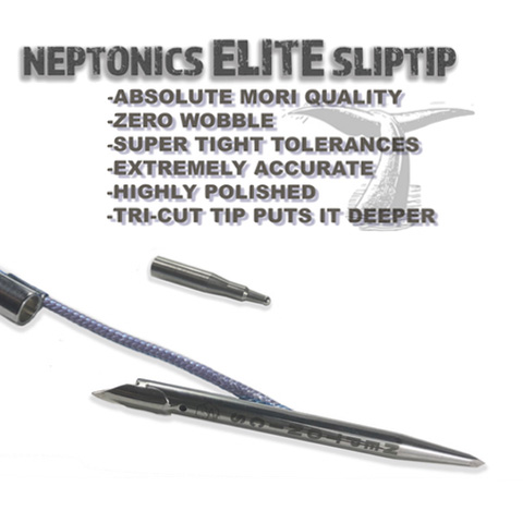 Spearfishing & Freediving Gear at Neptonics